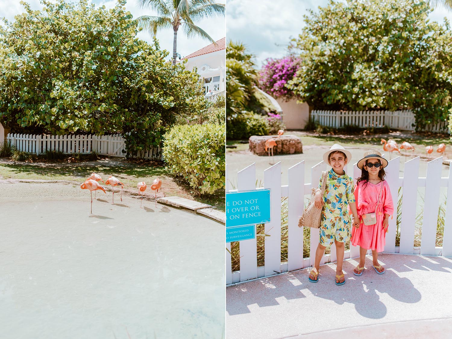 TRAVEL GUIDE: 72 HOURS IN BAHAMAS - BAHA MAR - THE GREY CANVAS